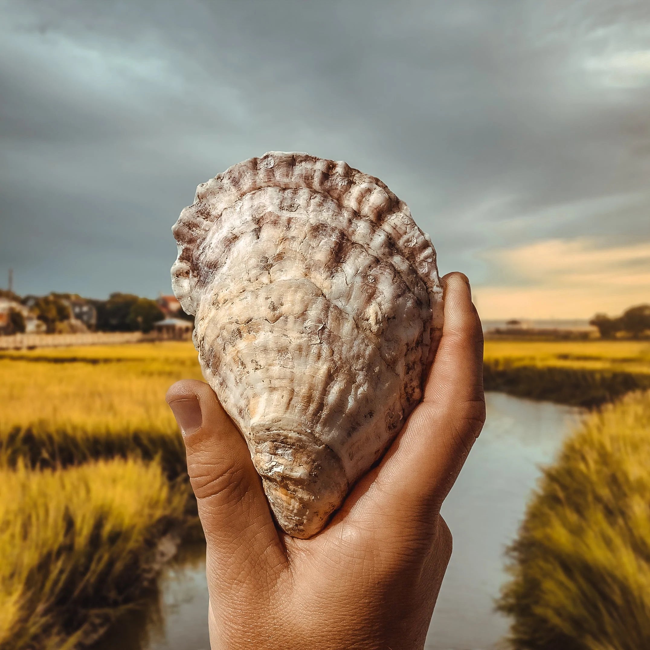 The Meaning Behind Our Put ‘Em Back® Movement | Toadfish