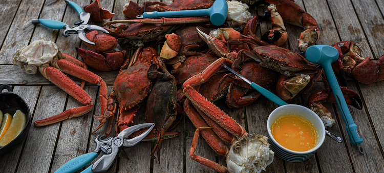 Toadfish | Eco-Friendly Coastal Products