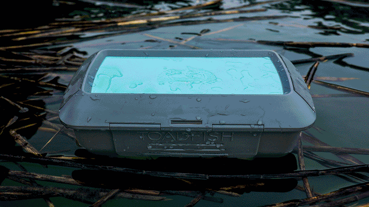 Toadfish | Eco-Friendly Coastal Products