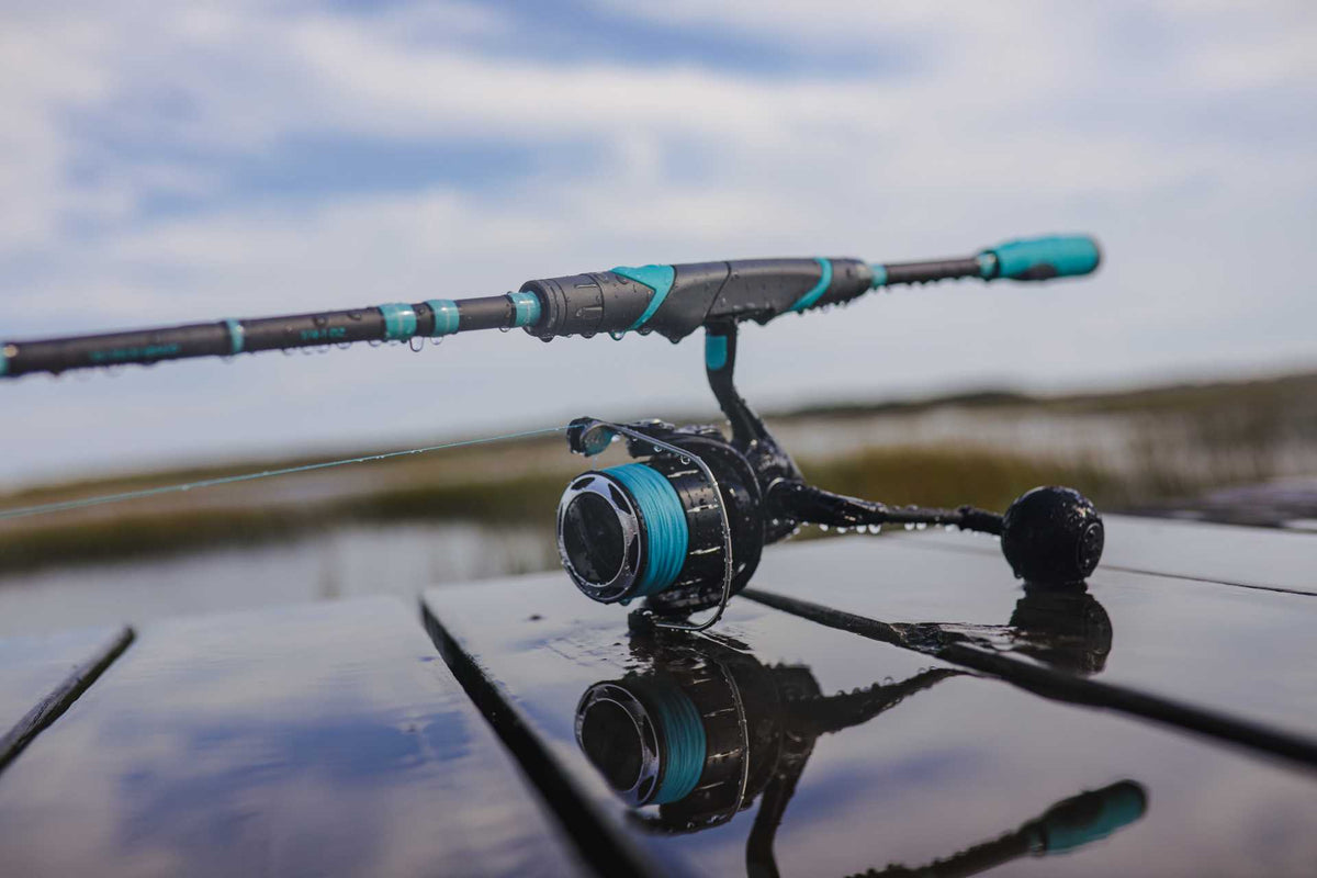 Toadfish | Eco-Friendly Coastal Products