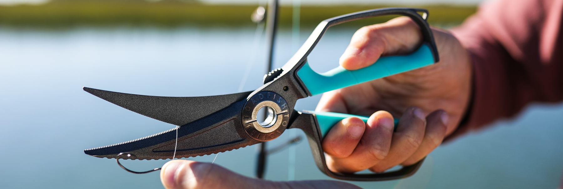 Toadfish | Eco-Friendly Coastal Products