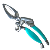 Toadfish | Eco-Friendly Coastal Products