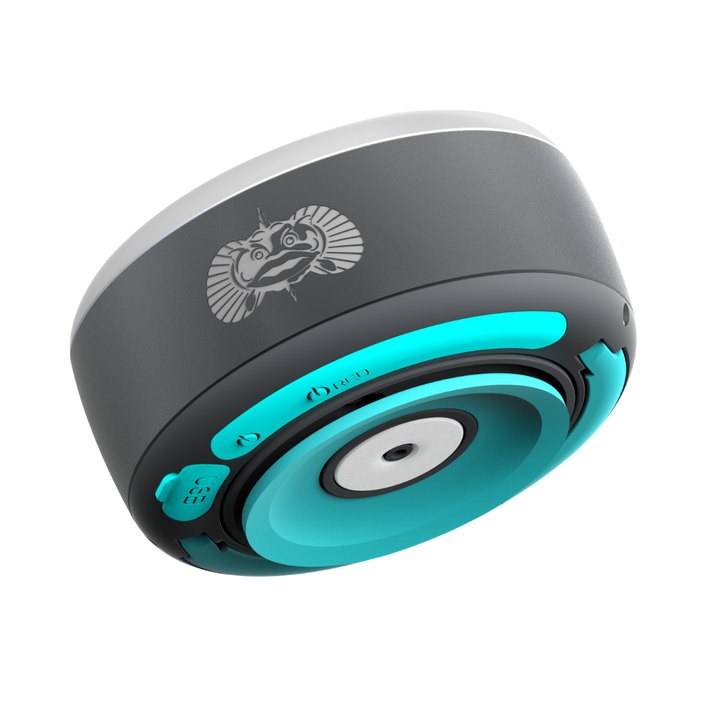 SHOP ALL– Toadfish